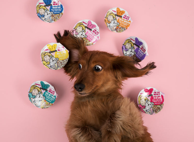 BFF Fun Size Meals: The Perfect Solution for Picky Dogs – Weruva