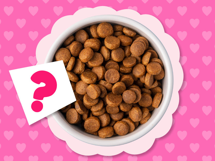 Can Kibble Clean Teeth? The Truth Revealed – Weruva