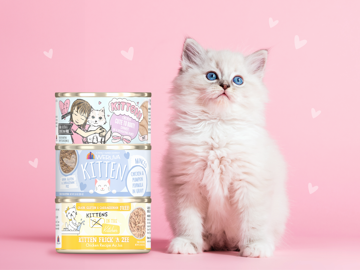 Nurturing Our Smallest Feline Family Members with Weruva's Kitten Formulas