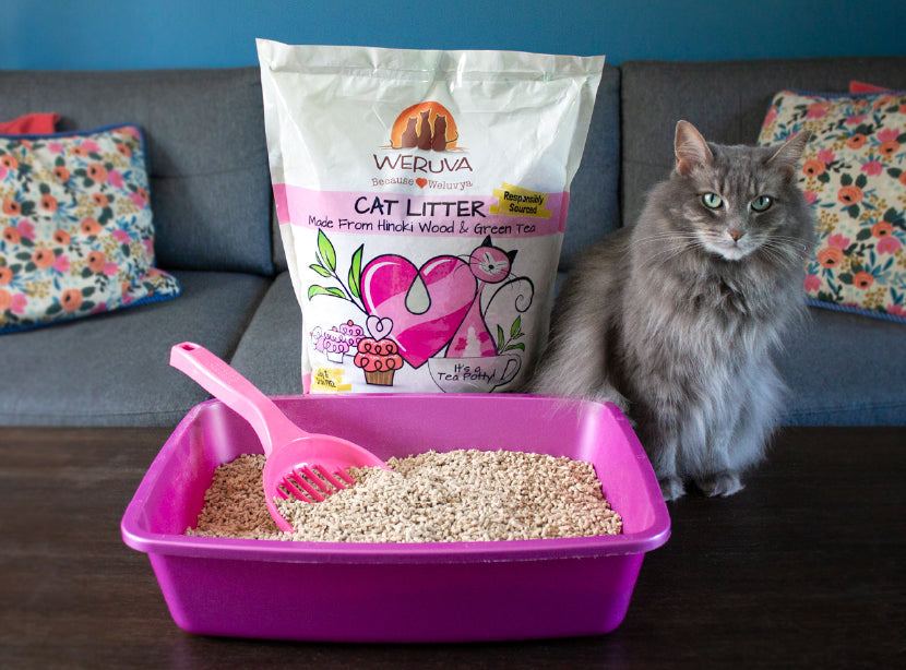 Tea Potty: A Cleaner, More Sustainable Cat Litter – Weruva
