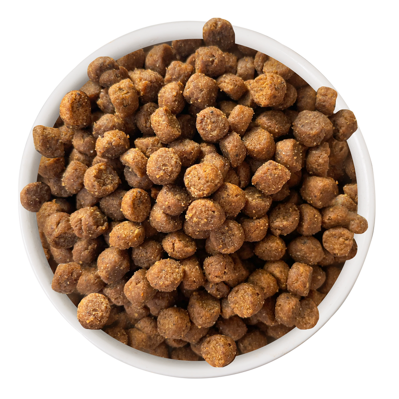 Weruva Cat Person Dry Food: Real Cat Food Made Simple