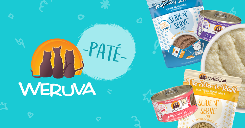 See the Weruva Cat Food Difference with Real Ingredients You Can See