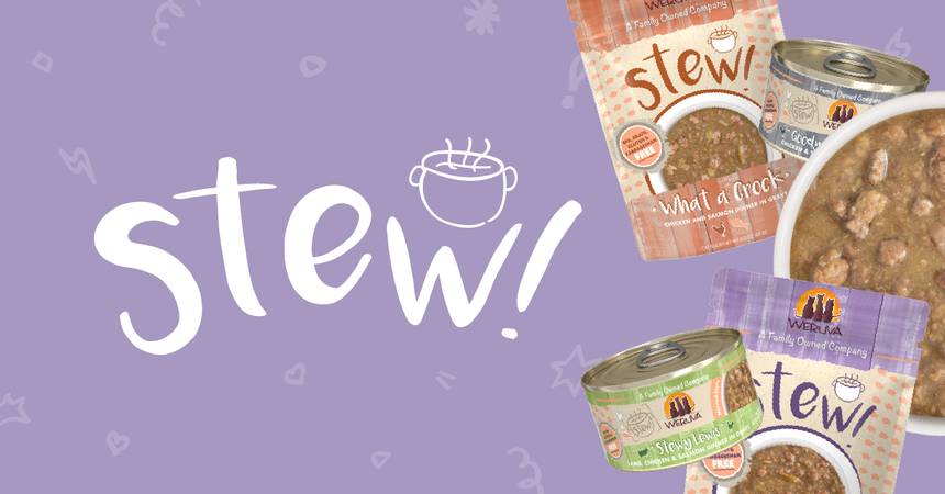 See the Weruva Cat Food Difference with Real Ingredients You Can See