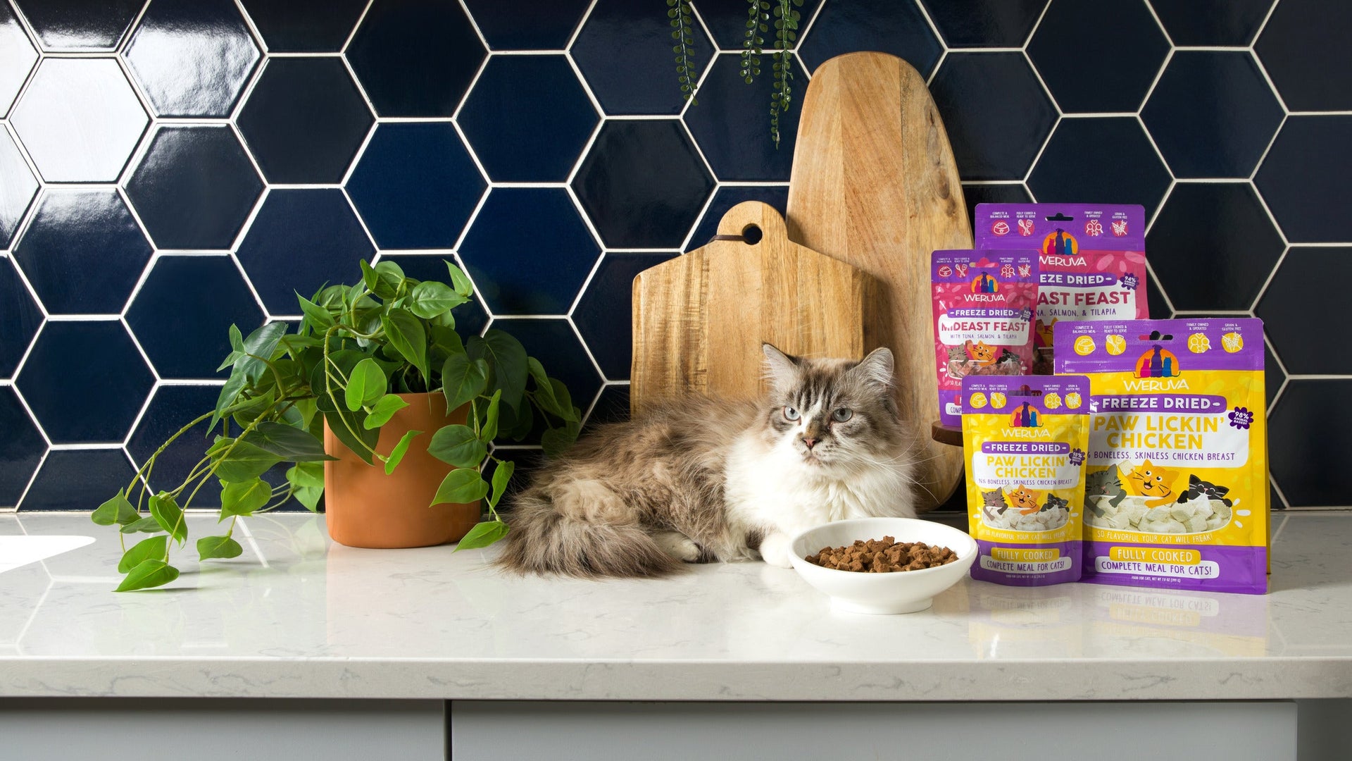 Your Cat Will Freak Over Weruva's Fully Cooked Freeze Dried Foods!